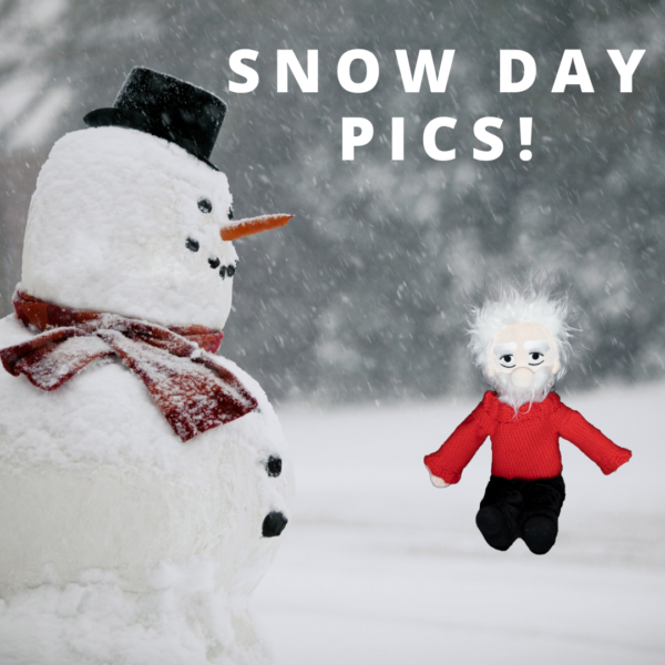 Einstein Snow Days! - The Einstein School