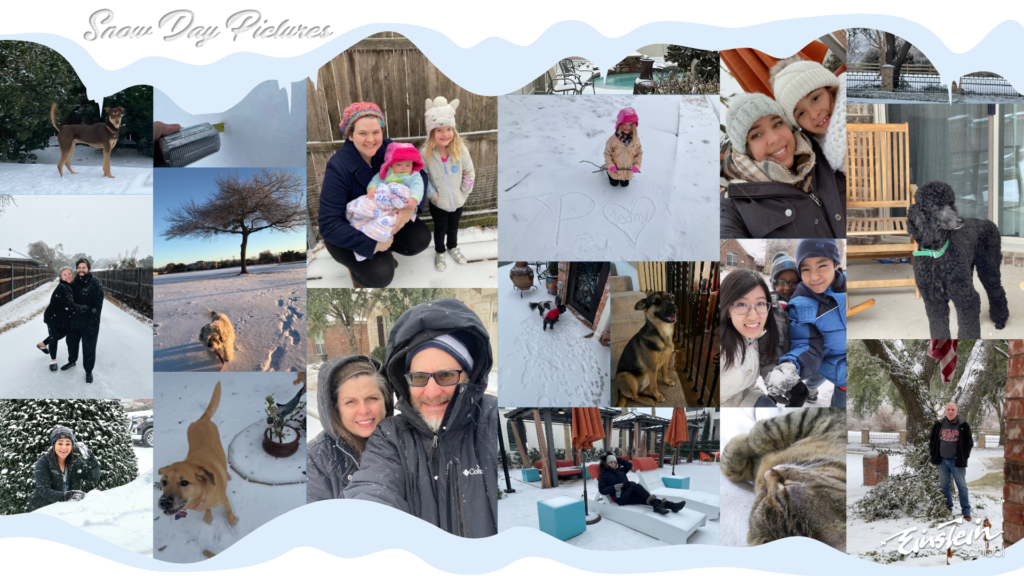 Einstein Snow Days! - The Einstein School